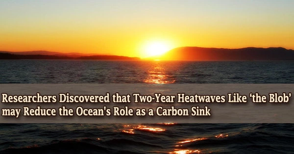 Researchers discovered that two-year heatwaves like ‘the Blob’ may ...